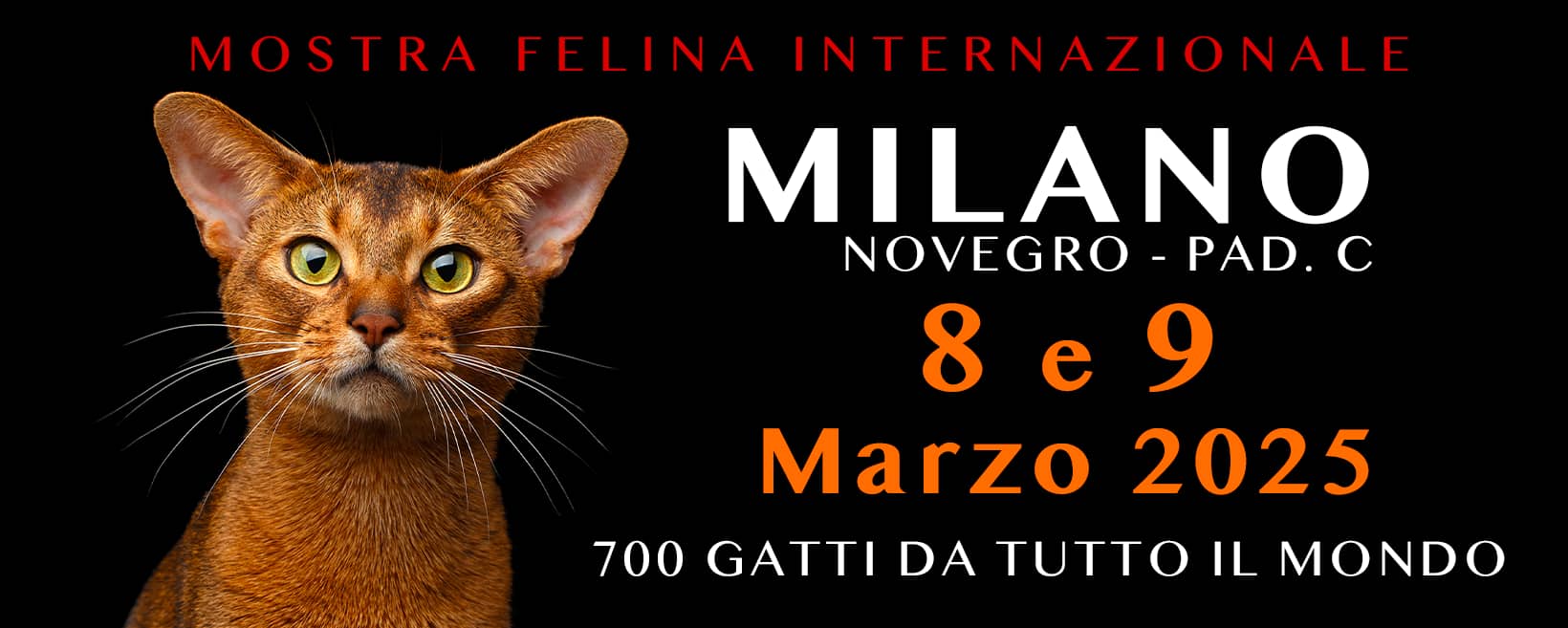 Ticket - Parco Esposizioni Novegro